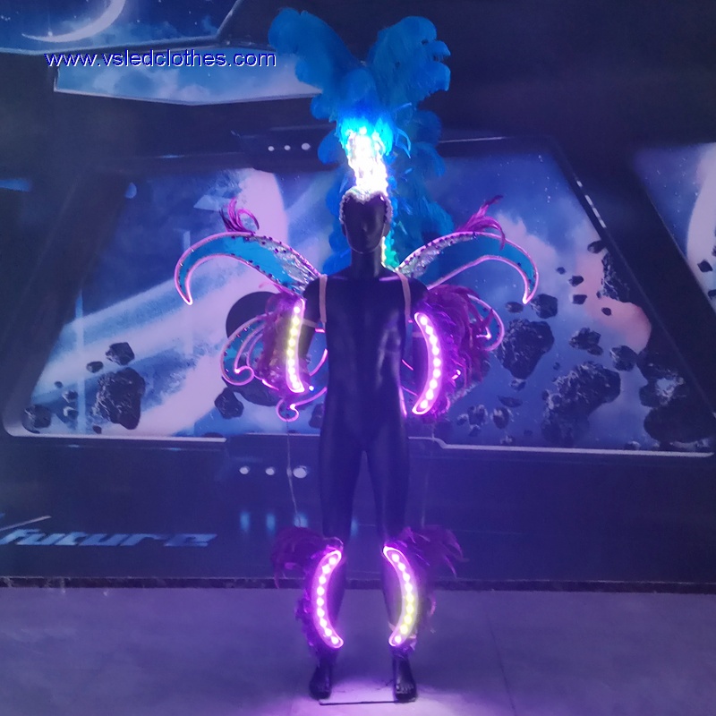 Led Samba Performance Dance Props