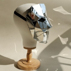 Chrome mirror mask