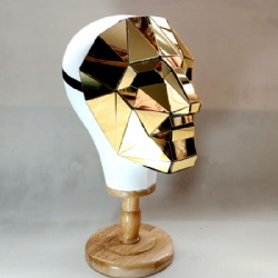 Mirror Mask